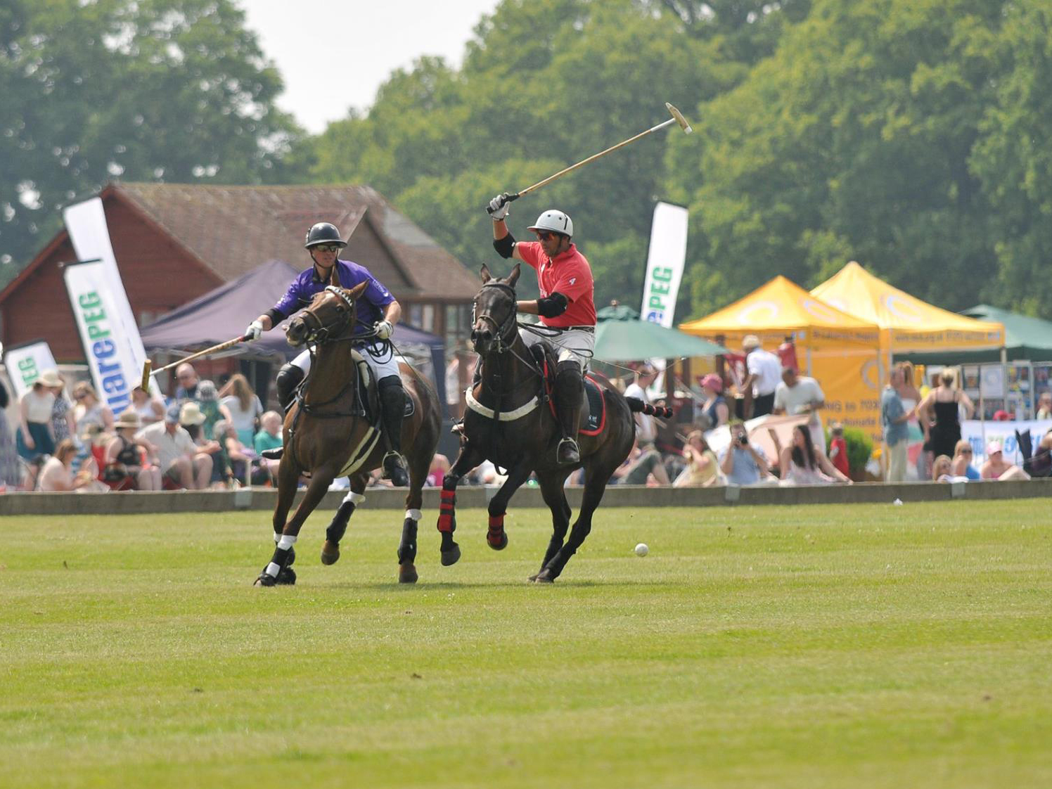 Cowdray Gold Cup Bed Ferret Cowdray Gold Cup Bed Ferret